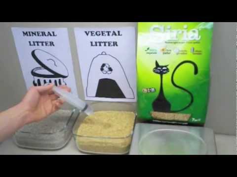 Siria: the best organic clumping cat litter.m4v - YouTube