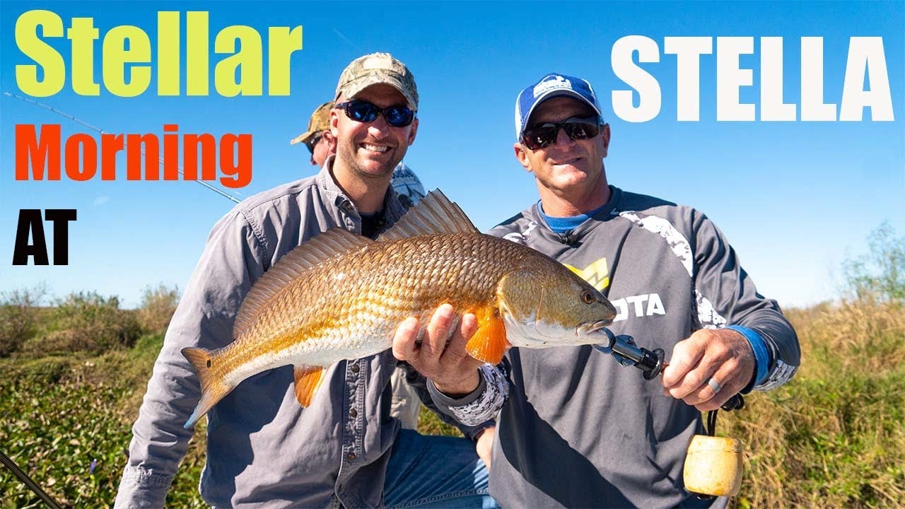 Stellar Morning Out At Stella - YouTube