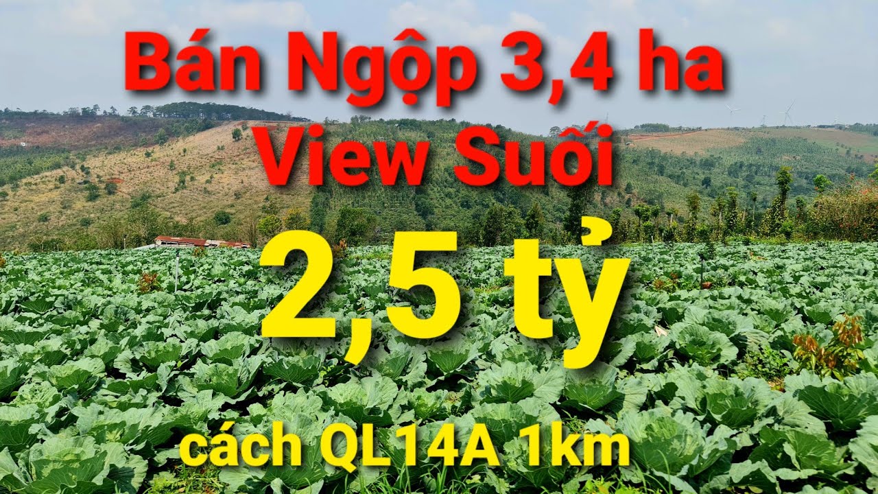 129 B n Ng p G p 3 4 Ha C ch QL14 1km t N m N Jang Huy n Dak 129-b-n-ng-p-g-p-3-4-ha-c-ch-ql14-1km-t-n-m-n-jang-huy-n-dak