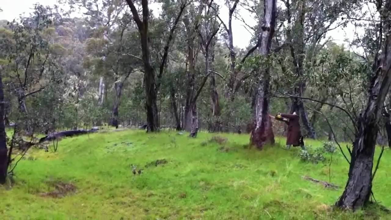 Chopping the Tree-ola - YouTube