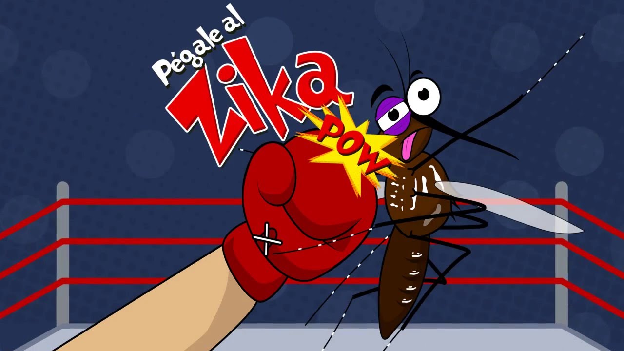 MuniPalín - Mensaje Animado "Pégale al Zika" - YouTube