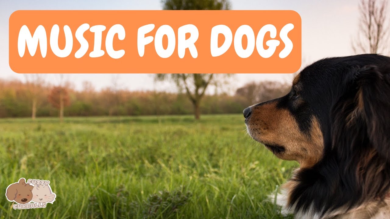 Calming and Relaxing Music for Dogs, Deep sleep Music for Dogs, Healing ...