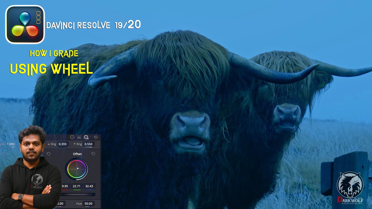 Achieve a Cinematic Moody Look with DaVinci Resolve Color Wheel - YouTube