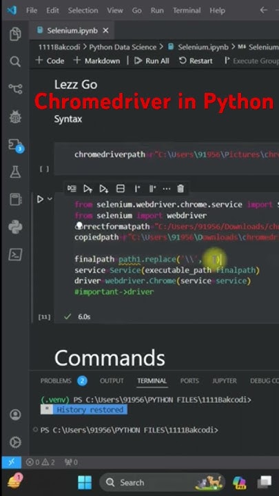 Running Chromedriver Decodemycode Seleniumwebdriver Python Codingtutorials Webscraping