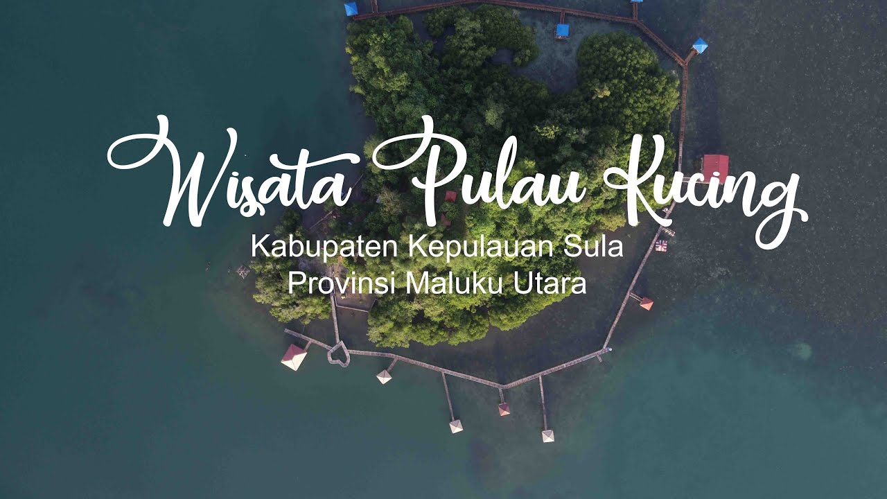 Wisata Pulau Kucing #KepulauanSula - YouTube