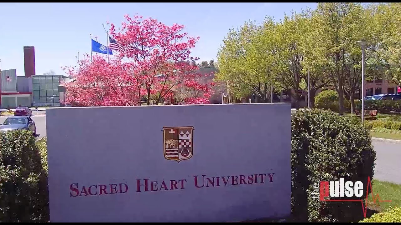 The Pulse | University Developments - YouTube