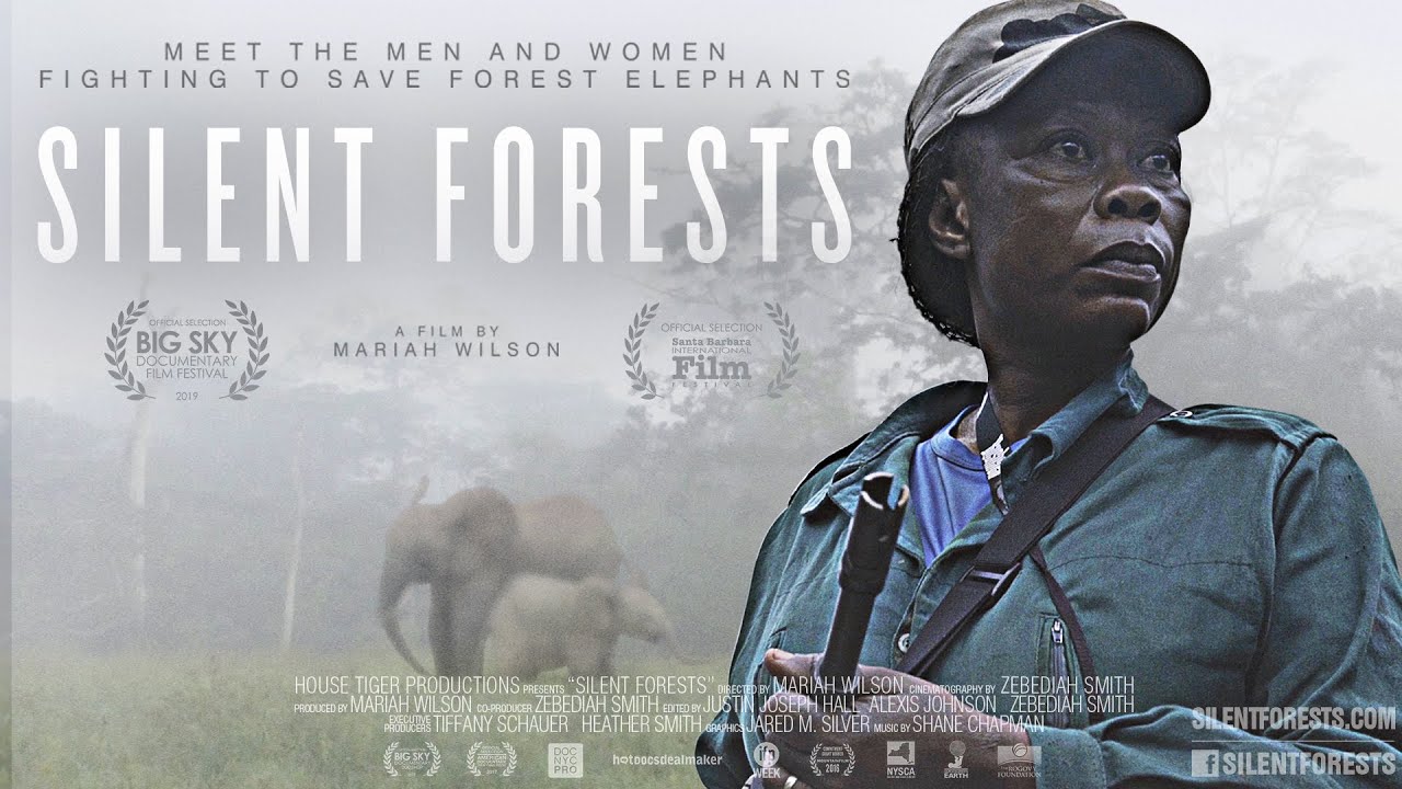 Silent Forest - Trailer - YouTube