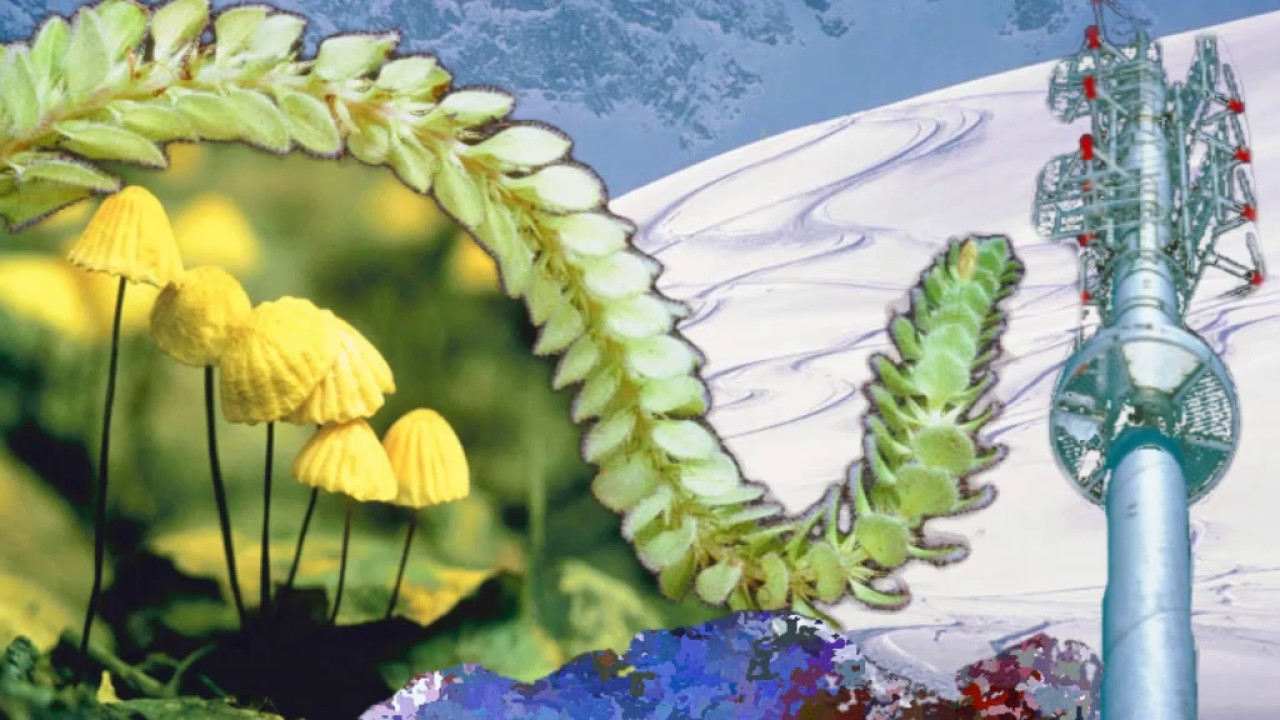 Dreamslayer - Rhythm Of The Heart - YouTube