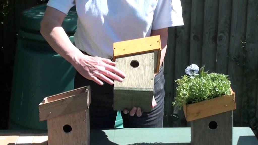 Green roofed bird boxes - YouTube