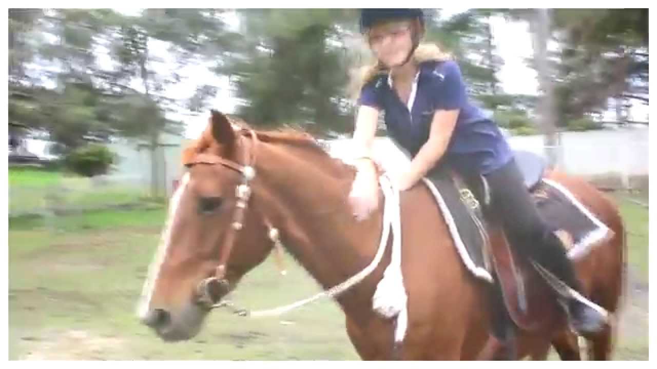 My Dream Came True - MY FIRST HORSE! - YouTube