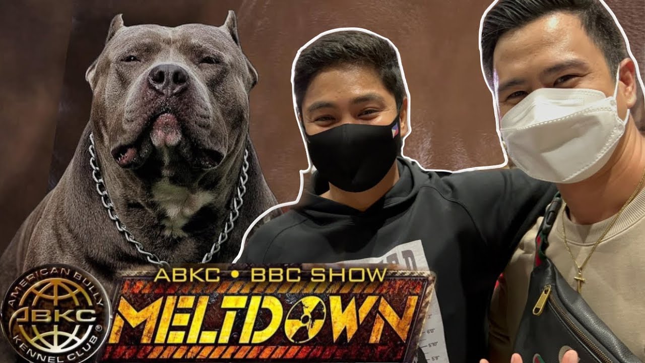 DAMING MALUPIT!!! FIRST INTERNATIONAL BULLY SHOW • ABKC BBC NPTC ...
