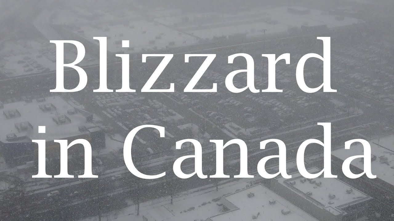 Blizzard in Canada Relaxing Snow - YouTube