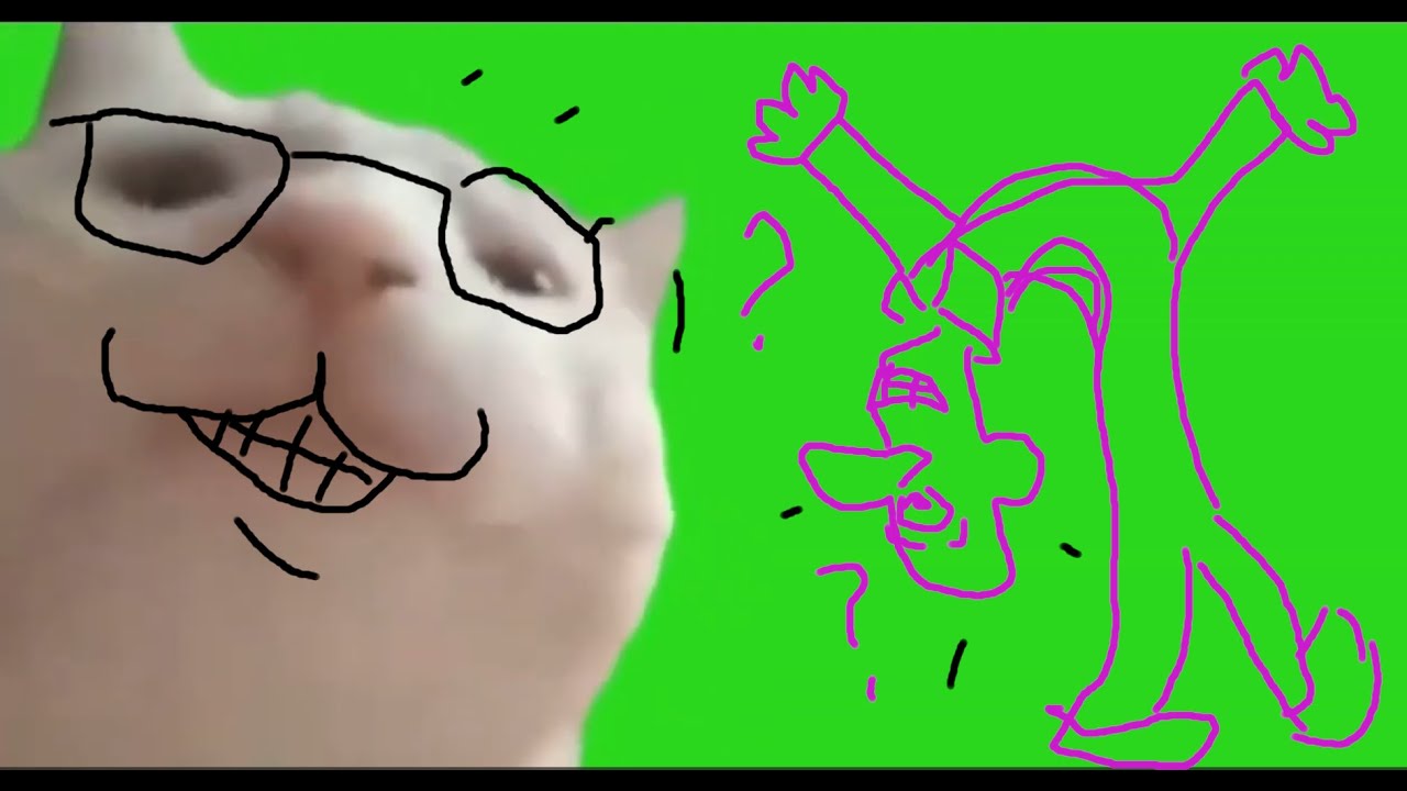 cat vibing greenscreen - 1 hour - But it is reversed!! 😻 - YouTube