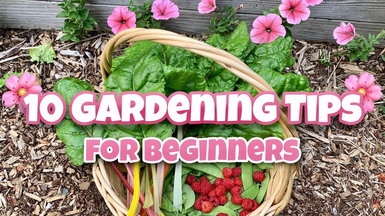 Tips for Growing Beautiful Flowers in Your Garden - YouTube