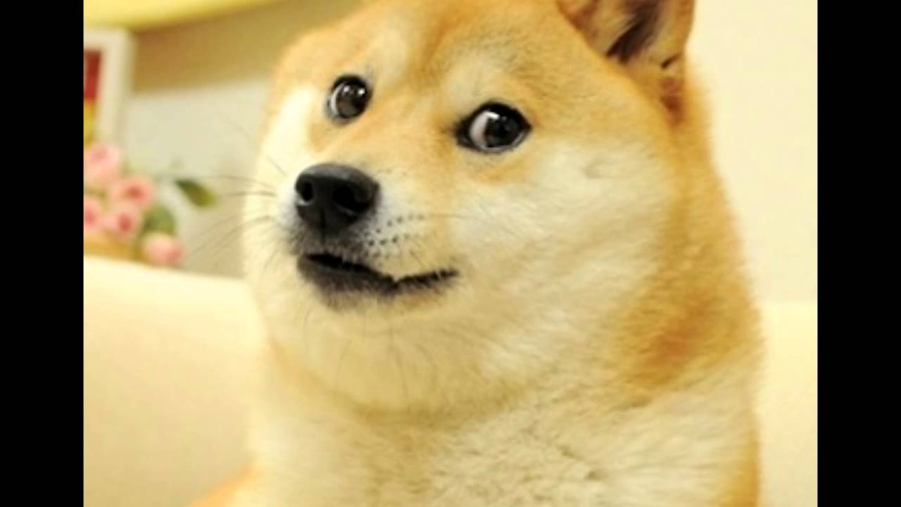 Doge - Only Time - YouTube