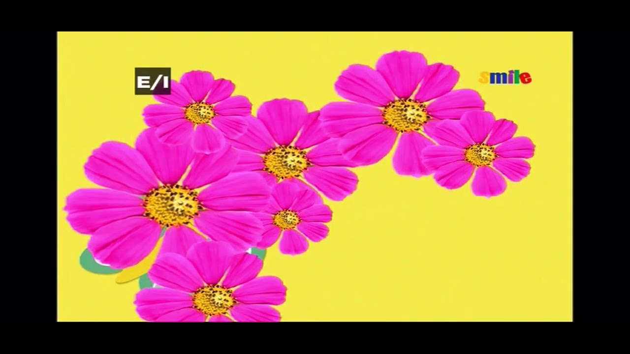 Sarah’s Stories Hermie And Friends The Colors Of The Beads - YouTube