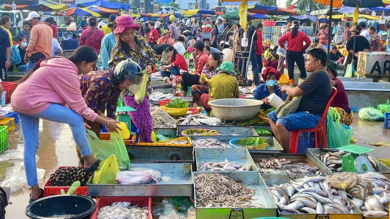 Amazing Site Fish Distribution At Chhar Ampor Market In Phnom Penh of ...
