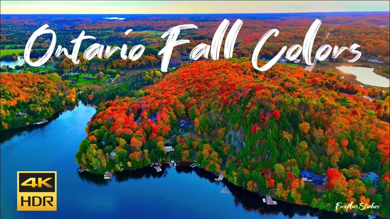 Experience the MOST BREATHTAKING Muskoka Fall Drone Footage | 4k HDR ...