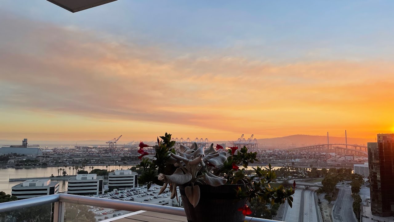 She Will Fly - YouTube