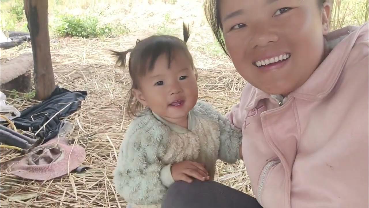 hnub no wb mus nrog niam tij thiab tij laug sau nplej os sab kawg li - YouTube