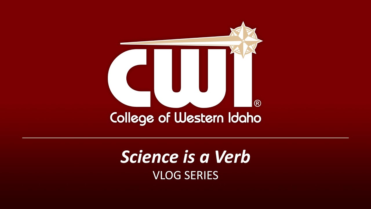 Science is a Verb: Cell Phone Microscope - YouTube