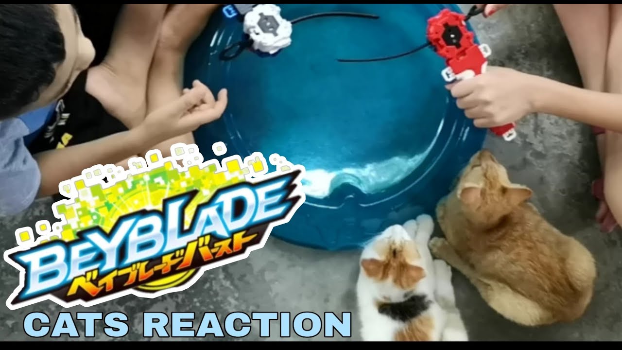 BEYBLADE 2019 | CATS REACTION - YouTube
