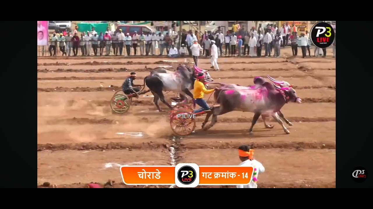 लक्षमणराव & बाजीराव गट पास #bakasur #bailgada #viralvideo #trending # ...