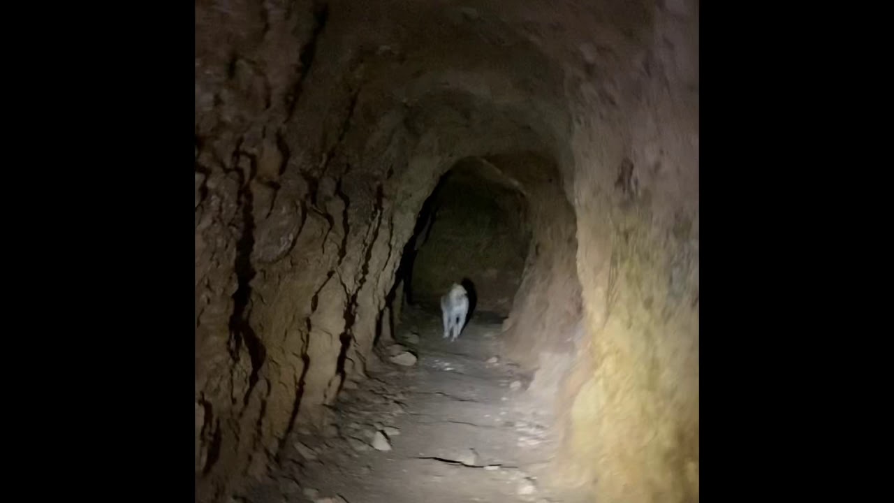 Yalwal gold field tunnels - YouTube
