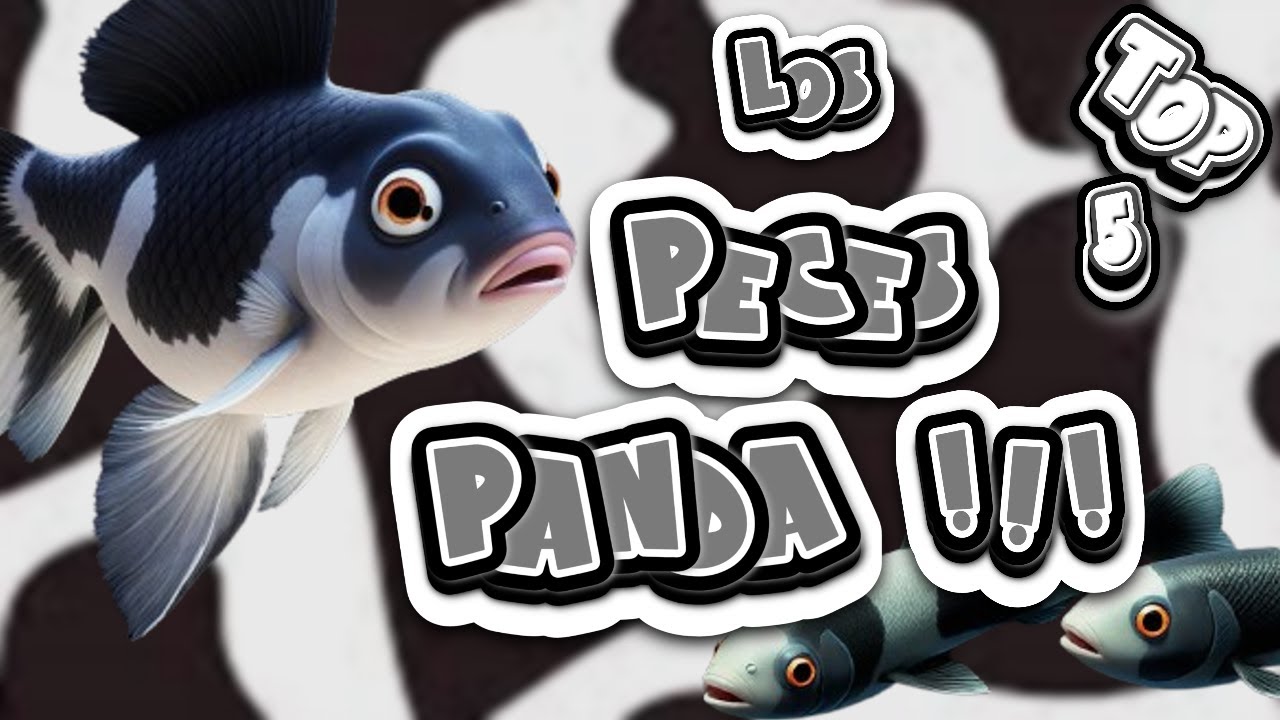 🐟 TOP 5 PECES CON DISEÑO PANDA: Un Toque Único en Tu Acuario 🐠🌿 # ...