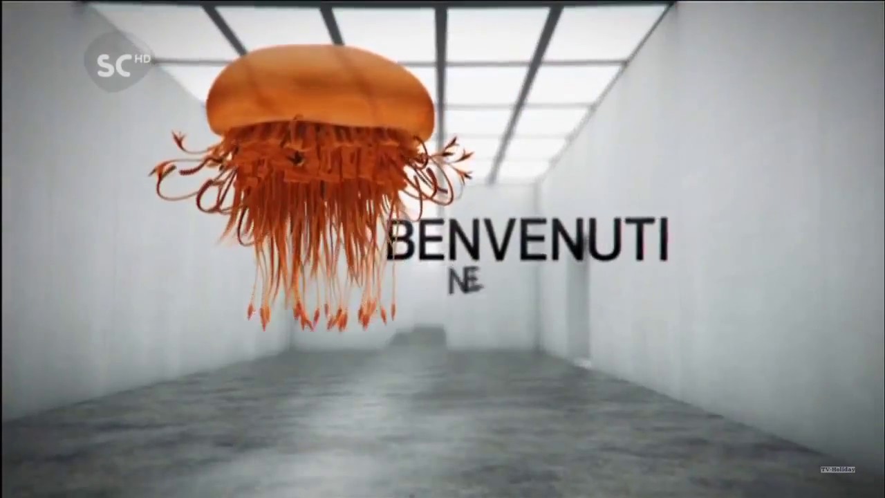 Discovery Channel International Promo (Music by Jonathan Robbins) - YouTube