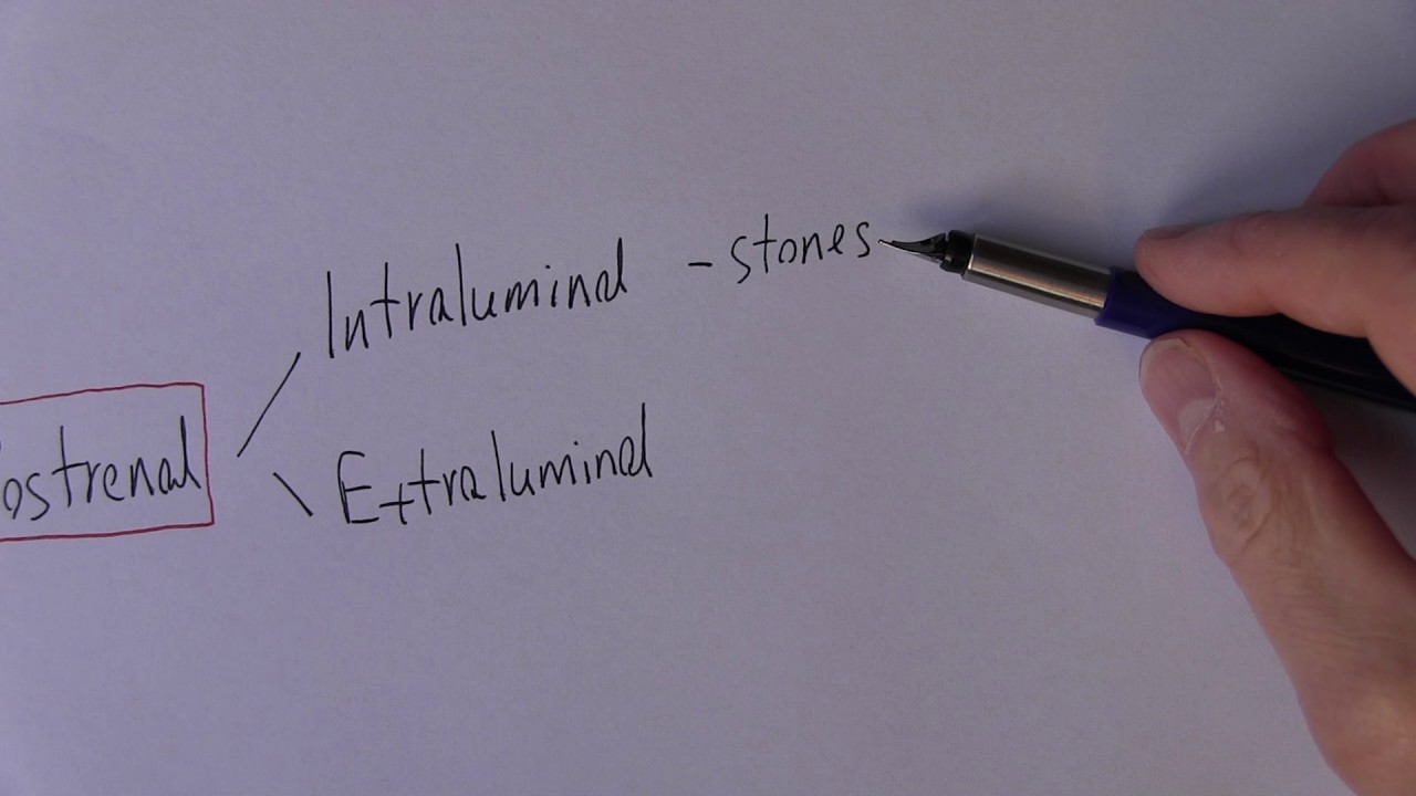 Acute Kidney Injury 5, Postrenal causes of AKI mind map - YouTube
