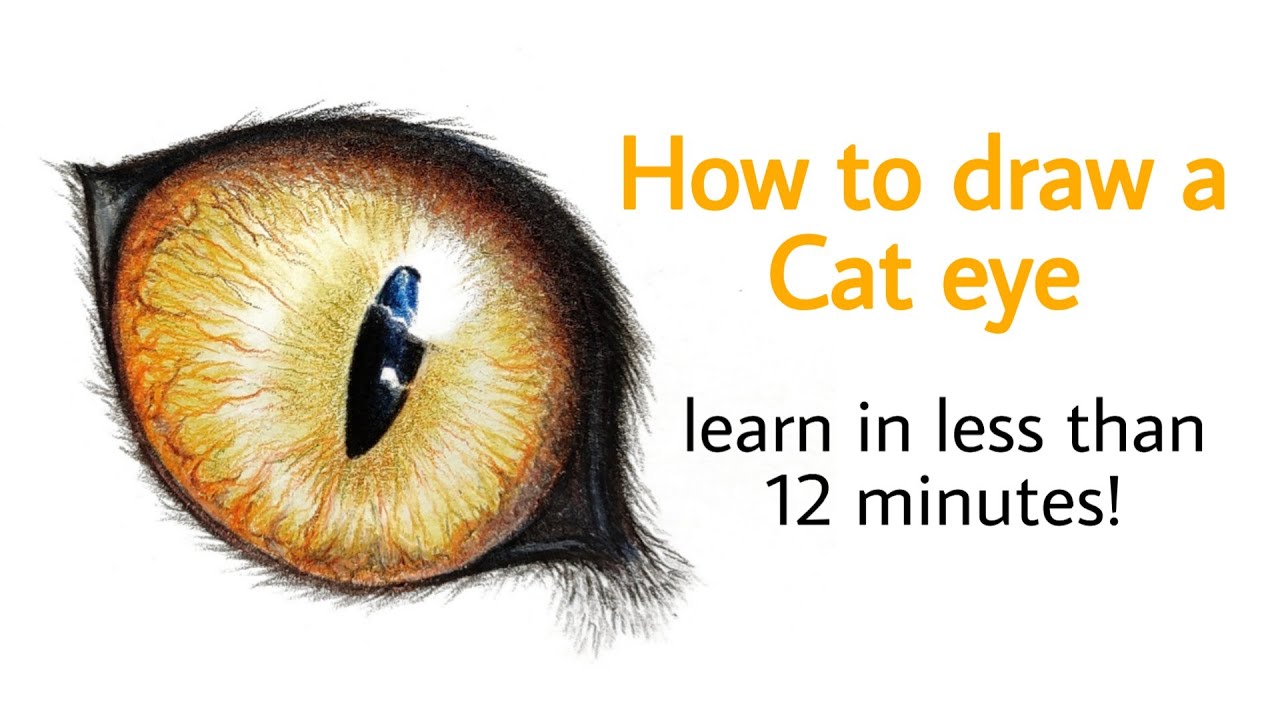 How to draw a realistic cat eye (under 12 minutes!!) - YouTube