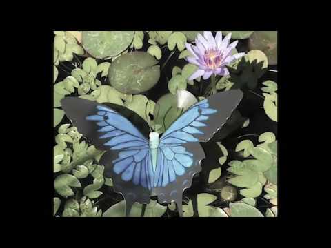 İzlemesi aşırı keyifli şeyler - 2017