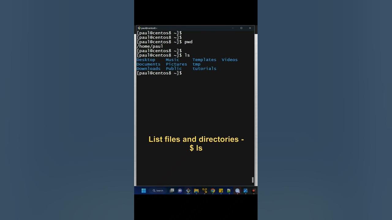 Linux Basics In 1 Min Part 1 Linux Linuxinhindi Linuxbasics Youtube