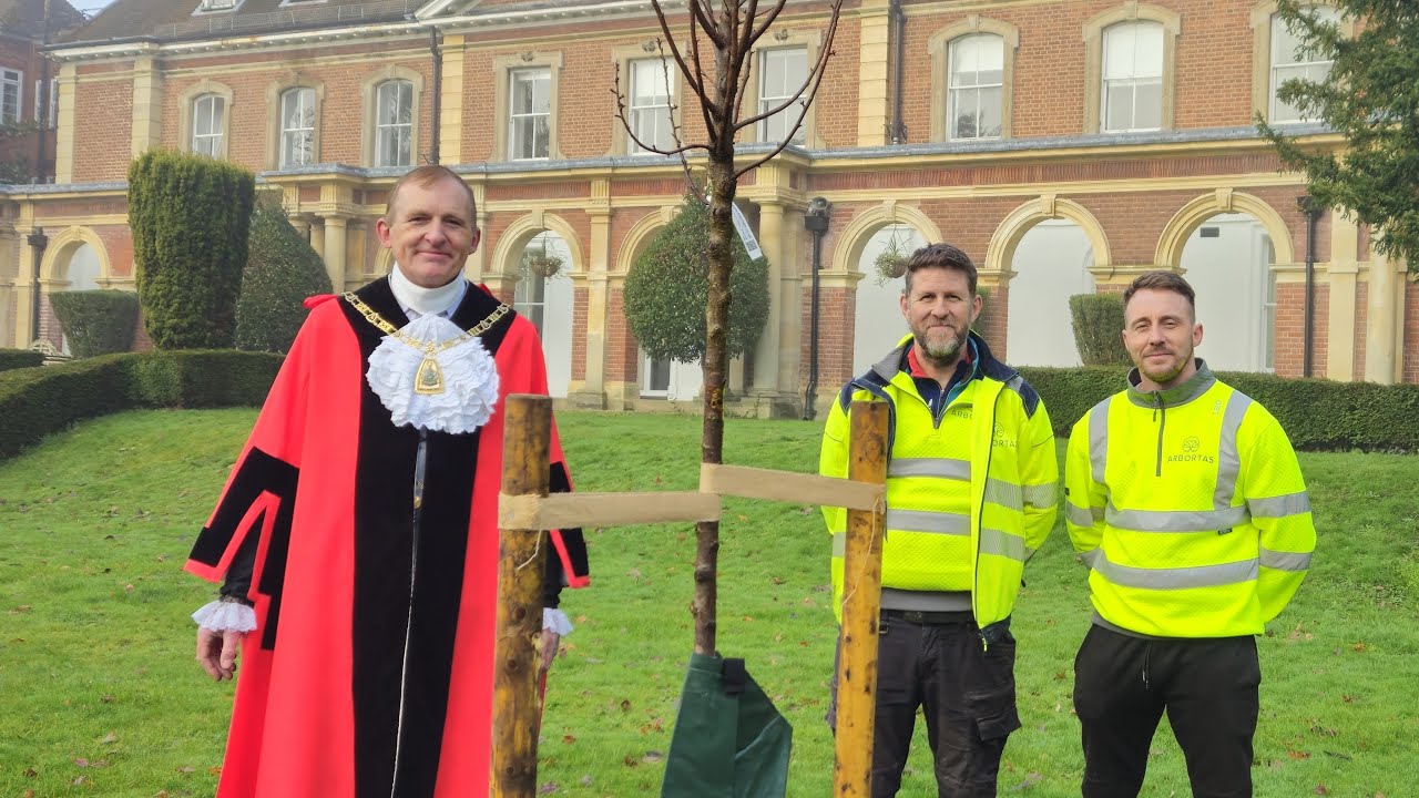 Bromley Palace Park | Mayor tree planting - YouTube