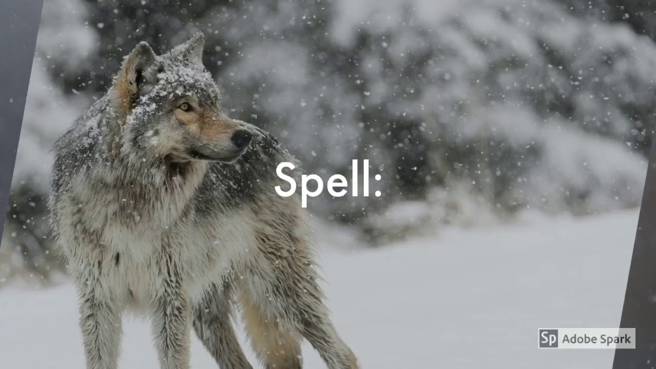 REAL werewolf spell - YouTube