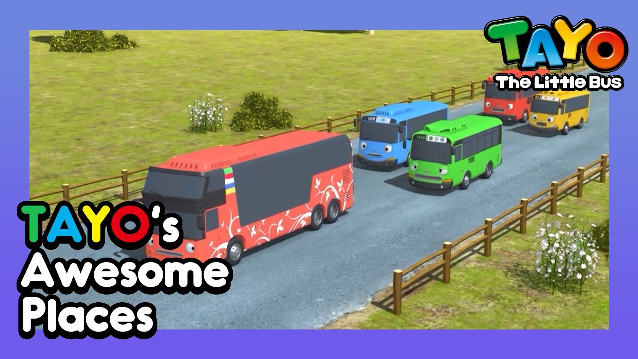 Let's go on a picnic with tour bus Cito! l Tayo's Awesome Places l Tayo ...