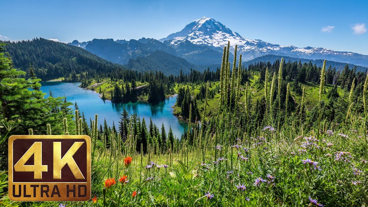 NATURE FOOTAGE PRESENTATION 4K ADVENTURE stunning VIDEO 🌲🌳🌿 - YouTube