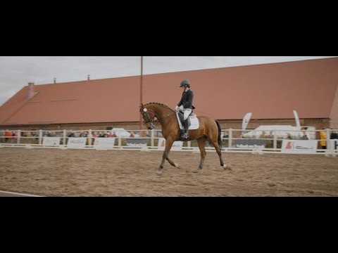 OneHalfOFMe trailer ENG FIZZ