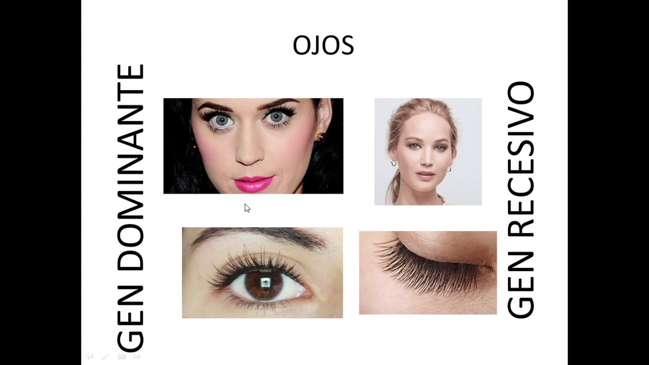 BIOLOGÍA II Mártires Clase 3 GENES DOMINANTES Y RECESIVOS - YouTube