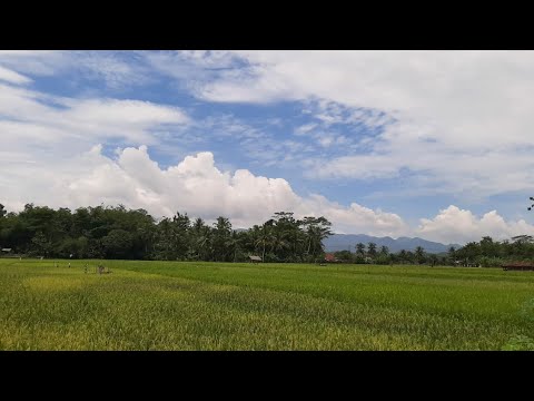 kampung pedesaan tempat mancing yang indah