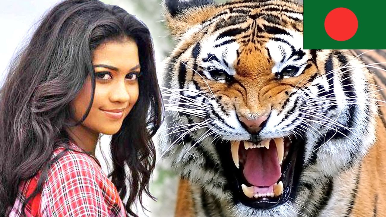 12 Surprising Facts About Bangladesh YouTube 12-surprising-facts-about-bangladesh-youtube