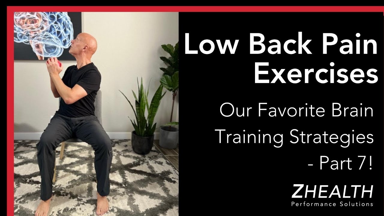Low Back Pain Exercises (Our Favorite Brain Training Strategies - Part ...