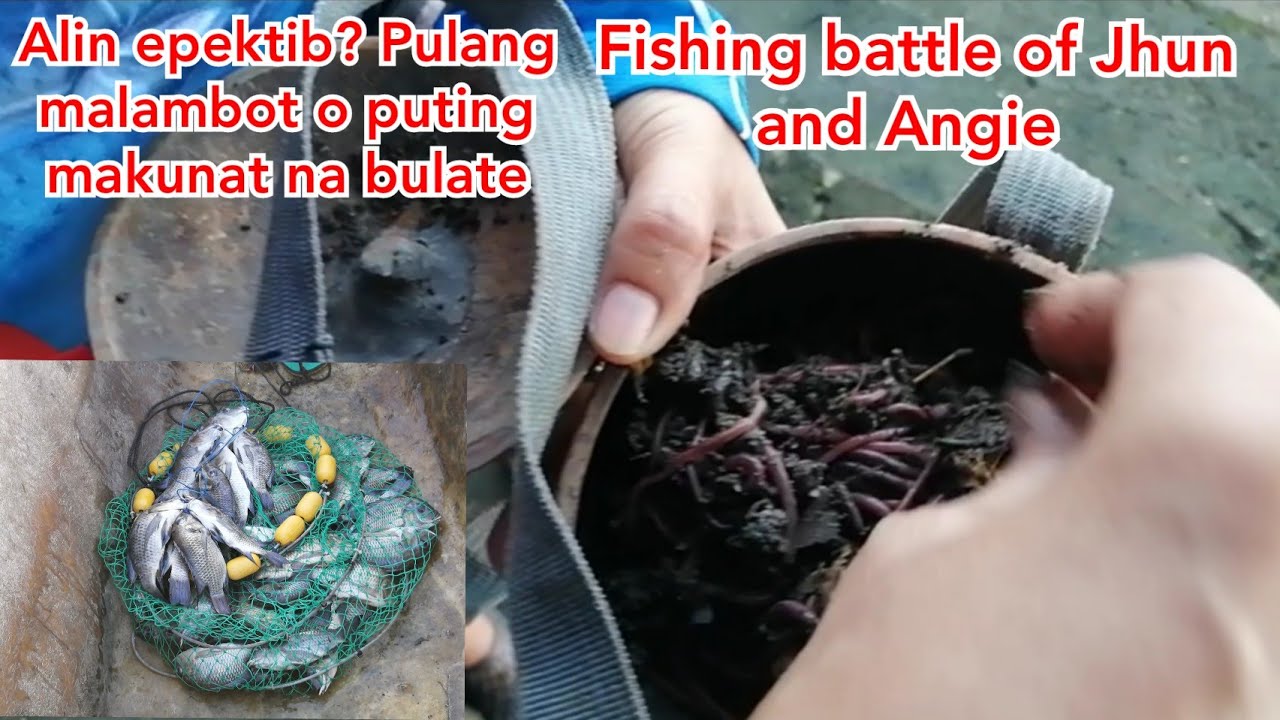 Alin makagat? bulateng pula? o puting makunat. Jhun and Angie's battle ...