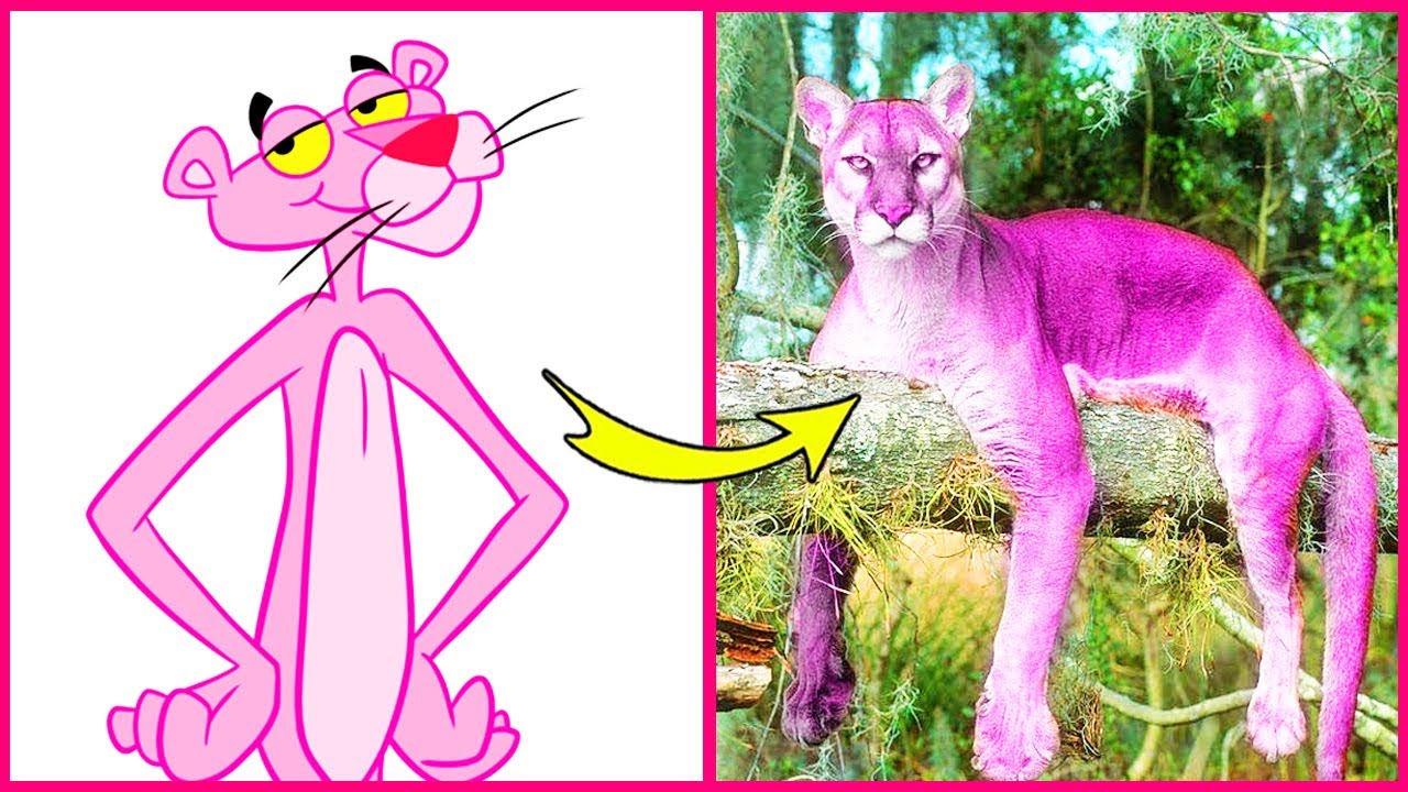 Pink Panther and Pals IN REAL LIFE 💥 ALL Characters 👉@PlentyLive - YouTube