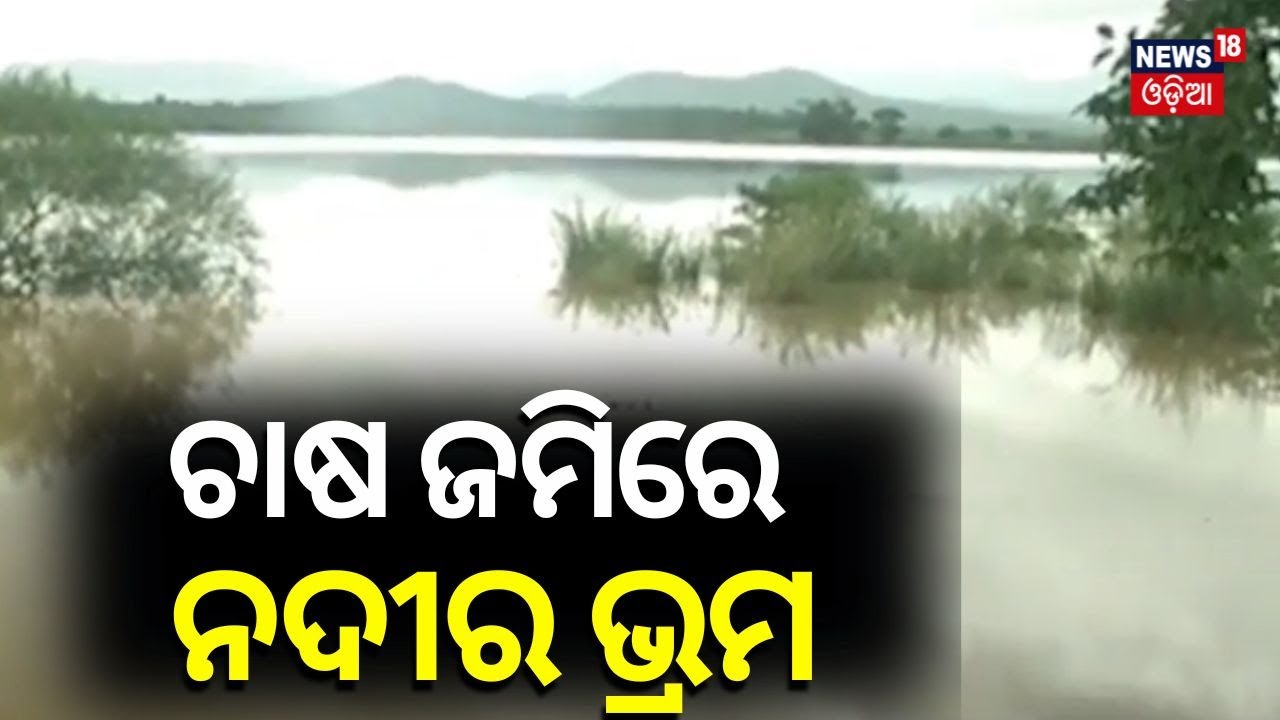 ହେକ୍ଟର ହେକ୍ଟର ଚାଷ ଜମିରେ ମାଡ଼ିଲା ବନ୍ୟା ଜଳ | Odisha Flood | Odisha Rain ...