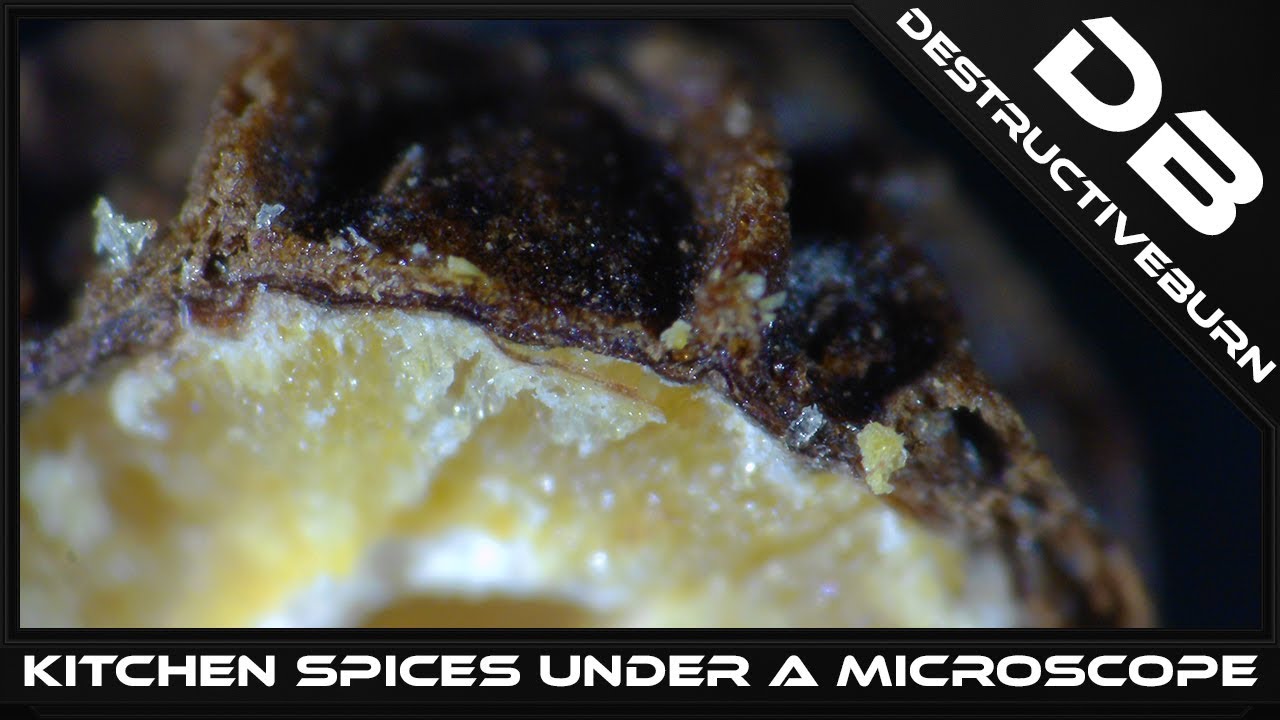 Kitchen Spices Under A Microscope - YouTube