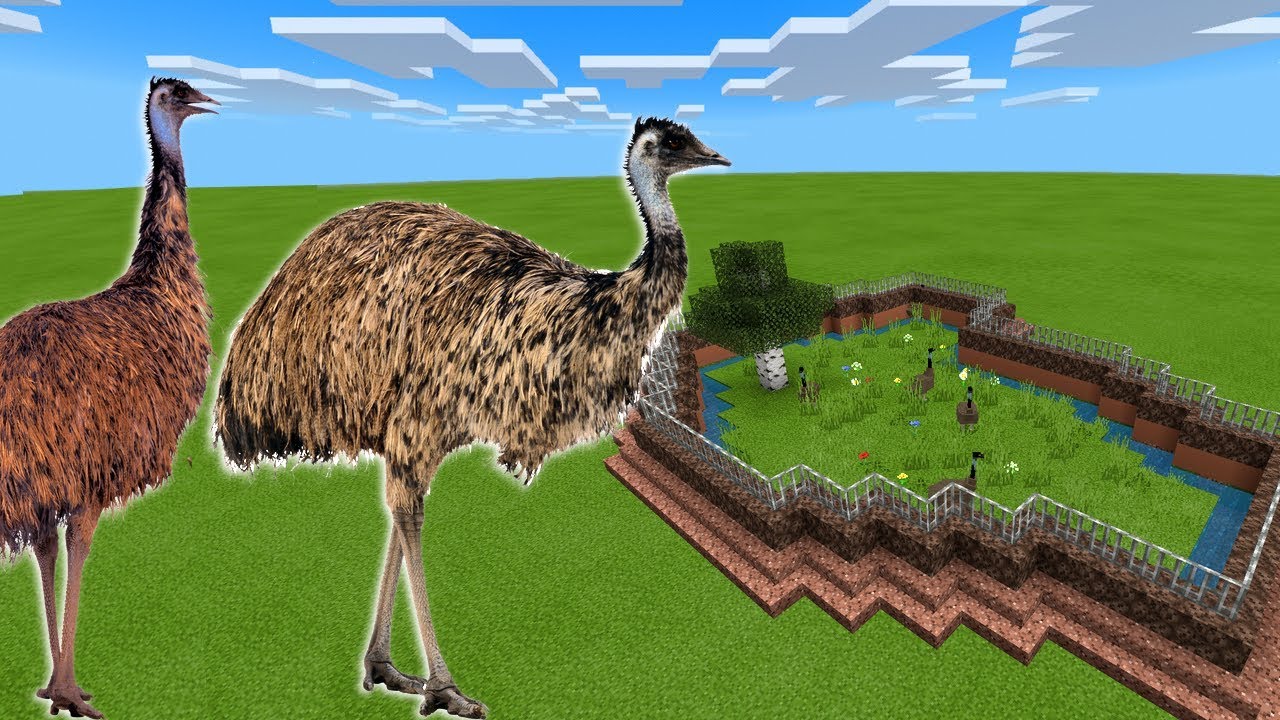 MCPE: How To Make an Emu Farm - YouTube