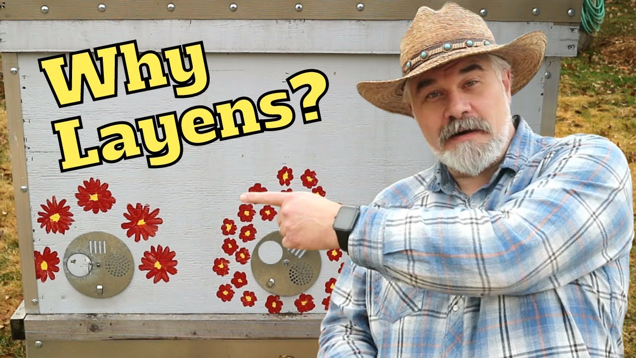 Why I Prefer the Layens Beehive (and you might, too) - YouTube