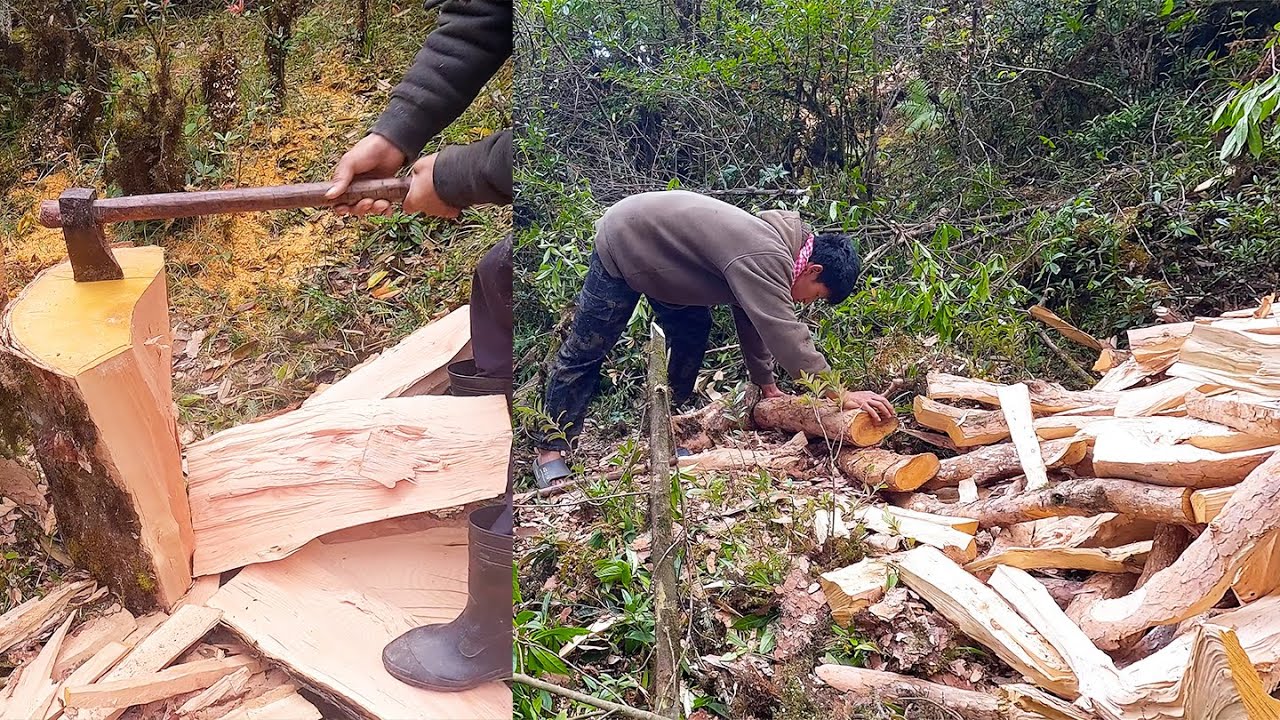 Cutting firewood to cook food II Villagers used wood to cook food ...